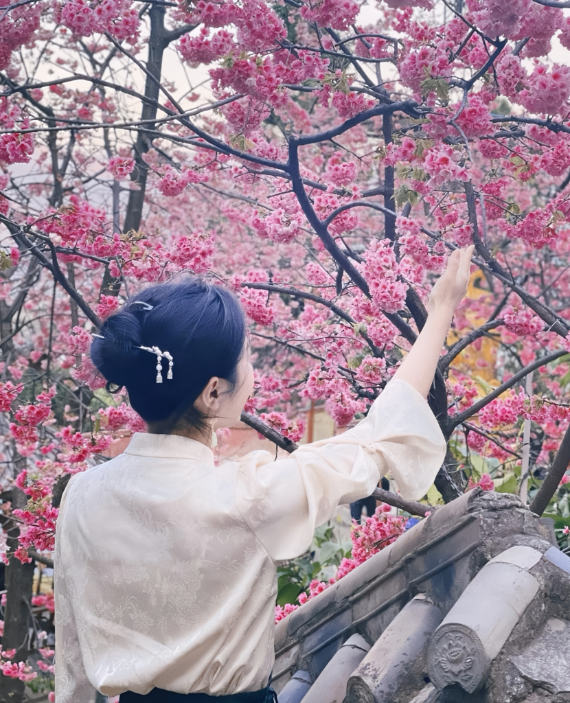 3 Ways Hanfu Shines with Hanfu cherry blossoms