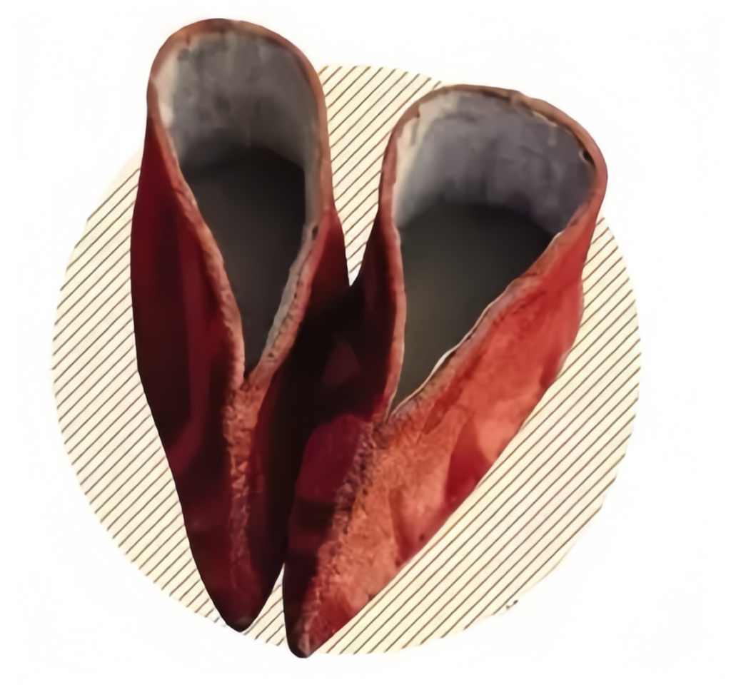 Ancient Chinese Shoes: Bound Foot & Mandarin Duck Secrets